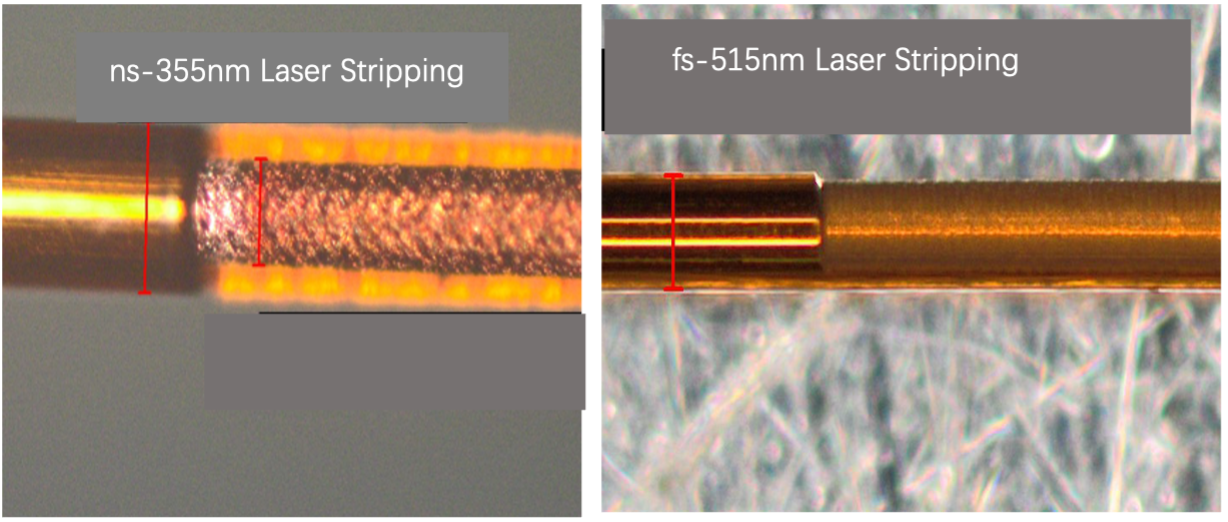 Laser-Induced Selective Micro-stripping - Advanced Optowave
